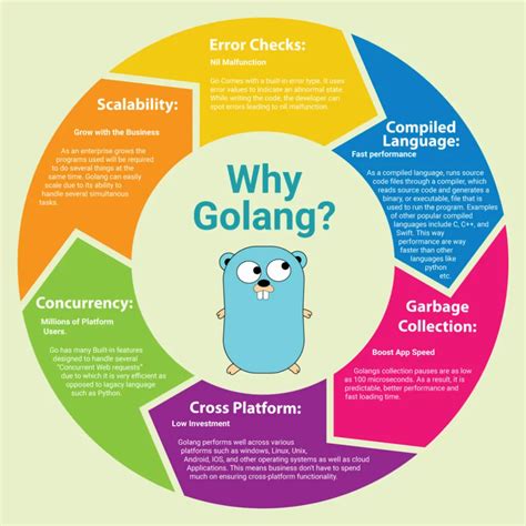 Why Golang Vivasoft Ltd