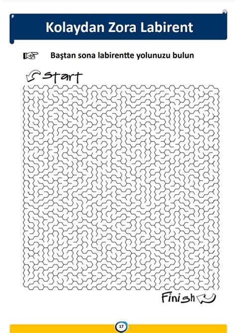 Herkes İçin Kolaydan Zora Labirent Kitap Seti