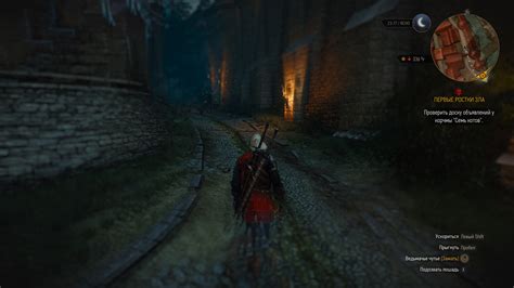 Witcher Console Debug Billaassociation