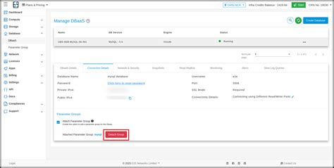 Parameter Group E2e Cloud