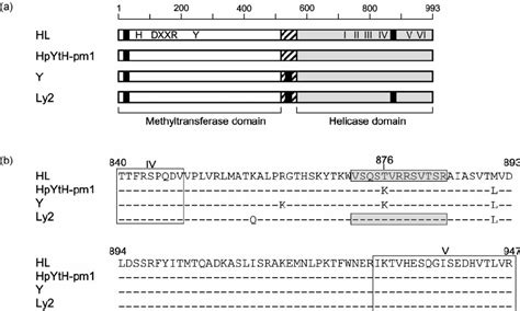 Seg Predicted Low Complexity Region Lcr In Cmv 1a Proteins A