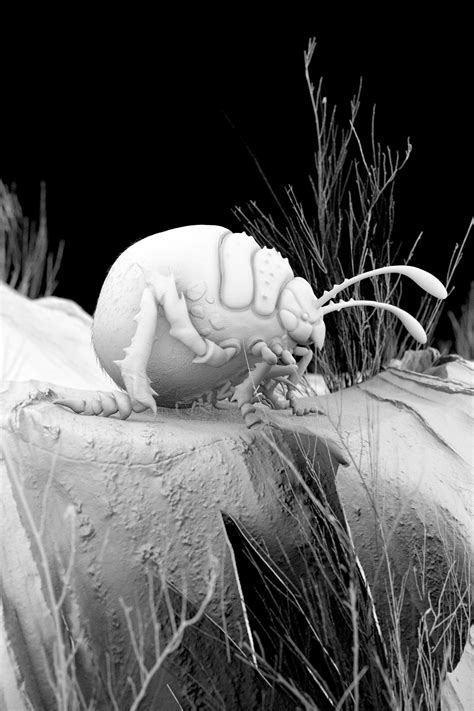 Translucent Bug Nina Marie Visuals