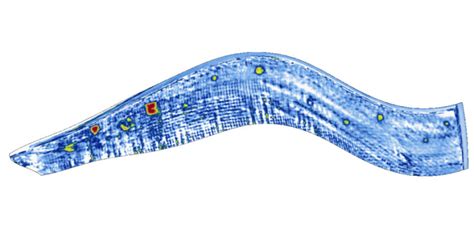 Automated Contour Following For Ndt Ultrasonic Testing Of Large