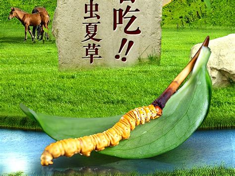 鲜草详情页面 劳盼 站酷ZCOOL