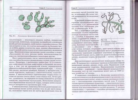 Учебник по биологии 10 класс Захаров Агафонова читать онлайн