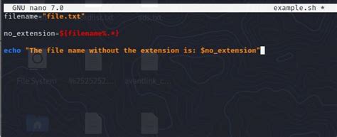 Bash Scripting File Extension Geeksforgeeks
