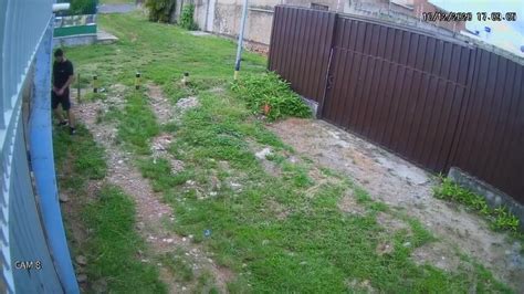 Public Pisser Video Thisvid Com