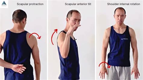 How To Fix Rounded Shoulders 3 Easy Exercises Precision Movement