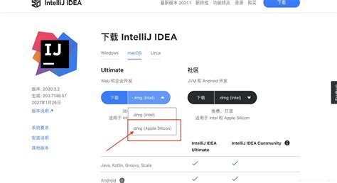 怎么在 Mac M 中安装jdk 开发技术 亿速云