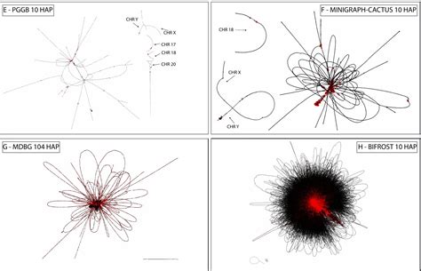 Francesco Andreace On Twitter The Construction Of Large Cohorts Human Pangenome Graphs Is A