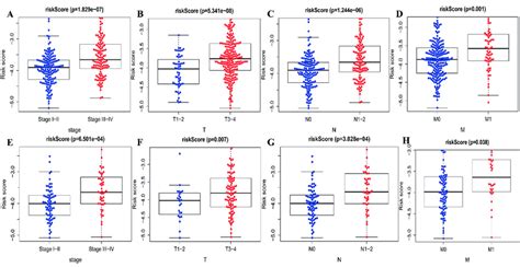 Association Between The Immune Related Signature And Clinical