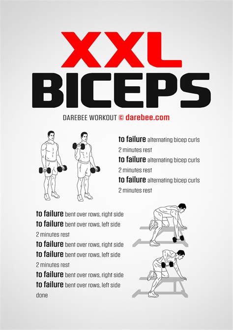 Xxl Biceps Workout