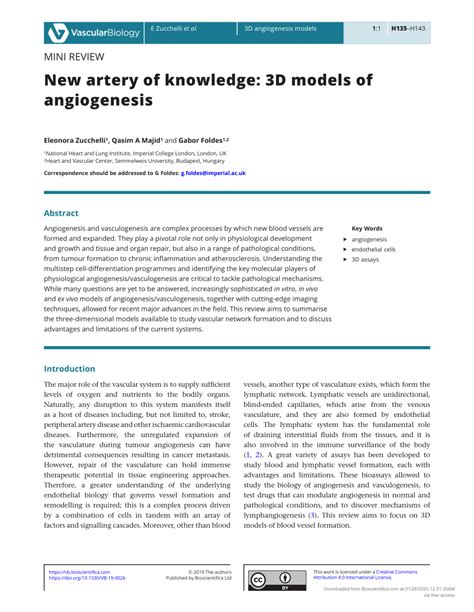 Pdf New Artery Of Knowledge 3d Models Of Angiogenesis