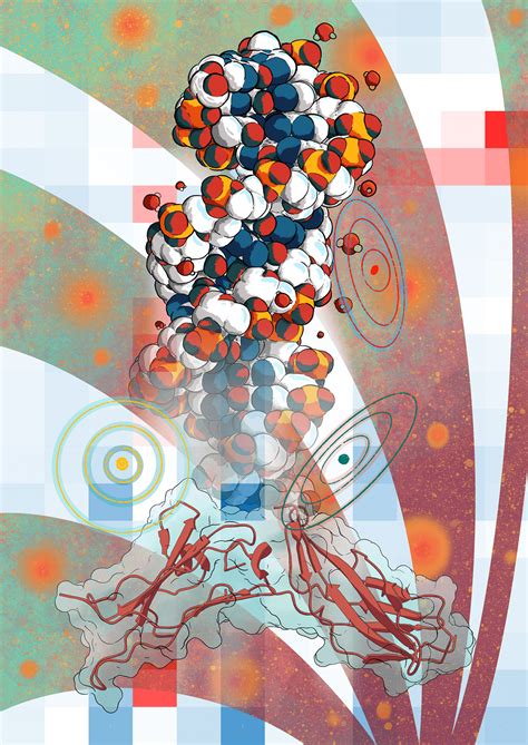 Biomolecular Recognition Behance