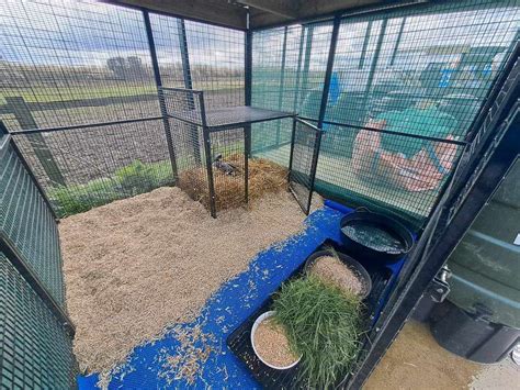 Jules Mcgowan Whitbywildlife