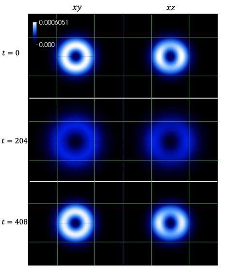 Three Snapshots Of The Projection Of The Rest Mass Density In Two