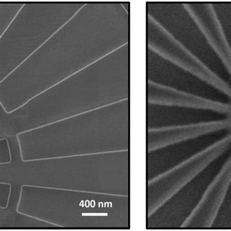 Sem Image Of The Tested Euv Mask The Closed Shapes Are The Absorber Download Scientific