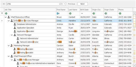 TreeListOptionsFind Condition Property WinForms Controls DevExpress Documentation