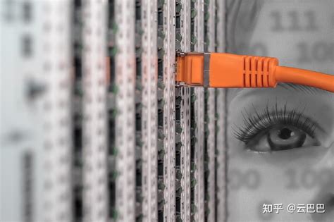 强烈推荐！五个大型医学公共数据库盘点 知乎