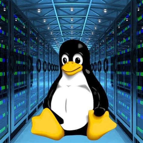 良许带你学习linux 知乎