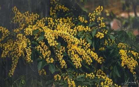 Grace ကိုယ့်အပေါ်အမြင်မကြည်သူ ဒါမှမဟုတ် လက်တလောပြသနာဖြစ်ထားတဲ့လူတစ်ယောက်ဆီက ပြေအေးတဲ့စကားက