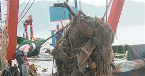 태평양 거대 쓰레기 40년 사이 무려 100배↑