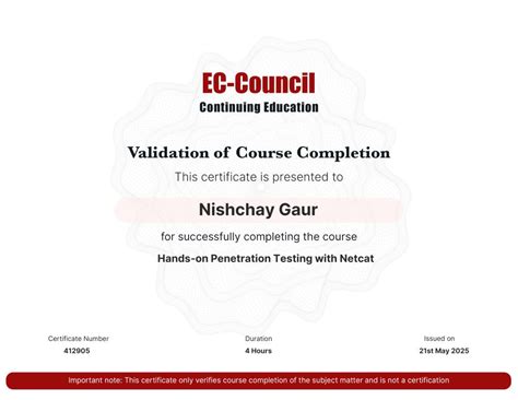 Hands On Penetration Testing With Netcat Nishchay Gaur