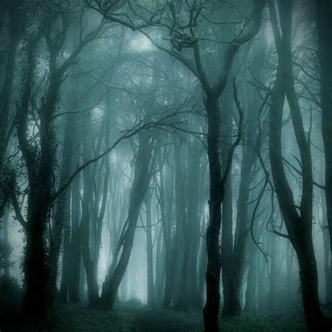 Пин от пользователя Наталья на доске Окно во Вселенную Эстетика Зеленые фоны Проекты домов