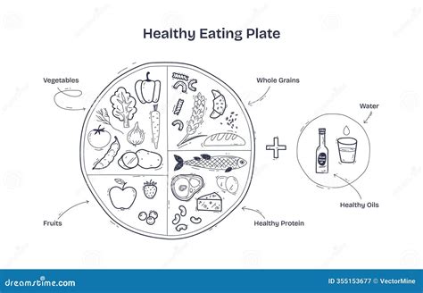 The Healthy Eating Plate Diagram Illustrates Balanced Nutrition With Vegetables Cartoon