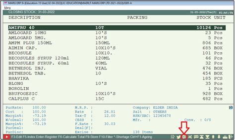 How To Generate Current Stock Report In Excel Format In Marg Software