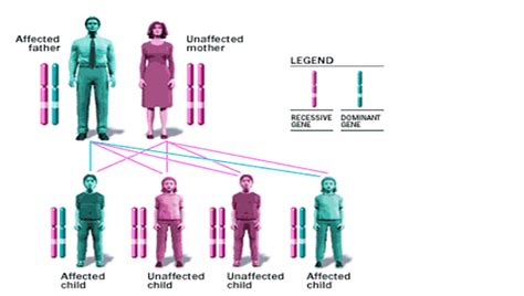 inheritance inheritance patterns