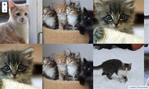 Tutorials Leaflet A JavaScript Library For Interactive Maps