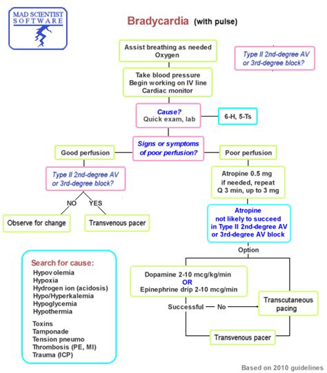 ACLS Algorithm Flowcharts Mad Scientist Software