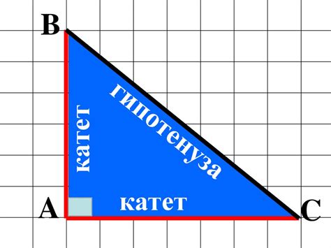 Площадь прямоугольного треугольника презентация онлайн