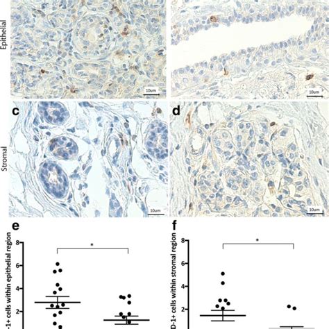 Analyses Of Interferon Ifn γ Ihc Staining Representative Download Scientific Diagram