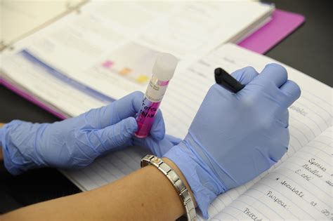 Medical Laboratory Science Program Bachelor Of Science Gmercyu
