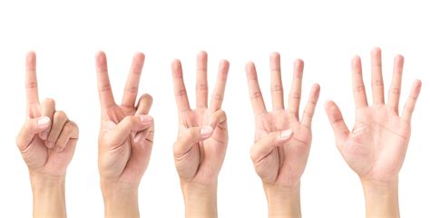 How To Count Database Table Values With SQL COUNT