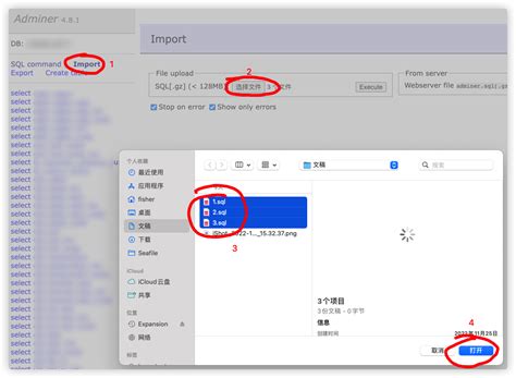 Import Multiple Local Sql Files Issue 1307 Dbeaver Cloudbeaver