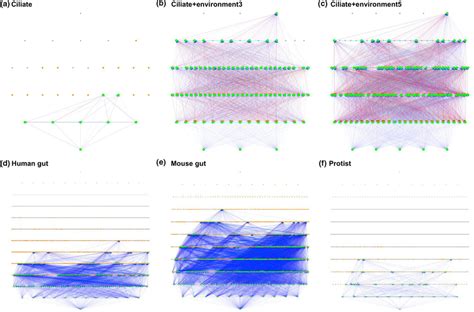 Example State Diagrams For All Datasets Circles Represent Fixed Point