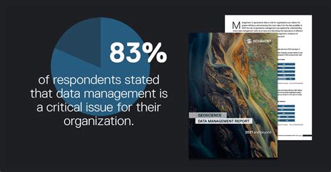 Geoscience Data Management Report 2021 And Beyond Seequent