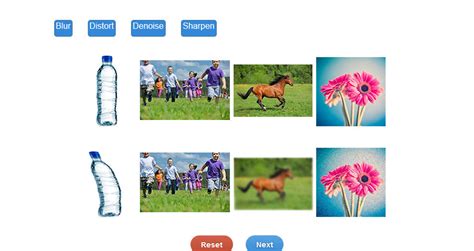 Drag Each Label To The Correct Location On The Image Match Each