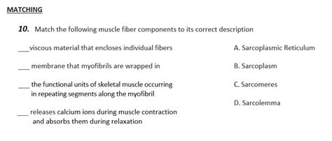 CH Matching Diagram Quizlet