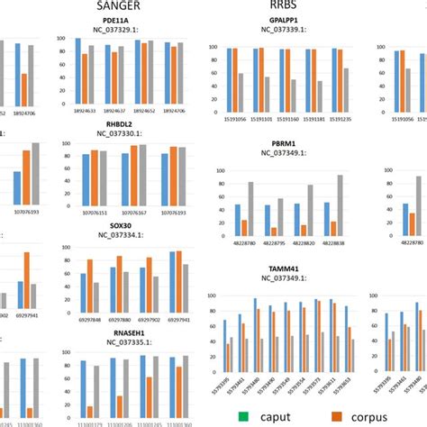 Methylation Percentage Assessed By Bisulfite Sanger Sequencing And By Download Scientific