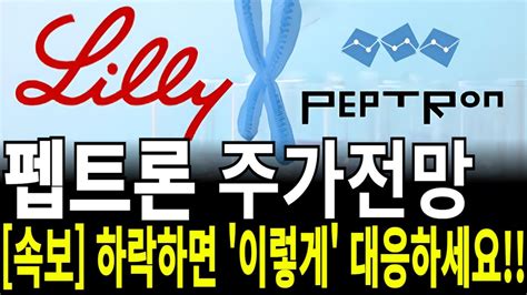 펩트론 주가전망 속보 하락하면 이렇게 대응하세요 Feat디에스경제연구소 케빈 Youtube