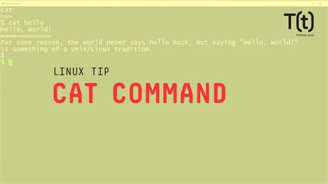 how to use the cat command 2 minute linux tips network world