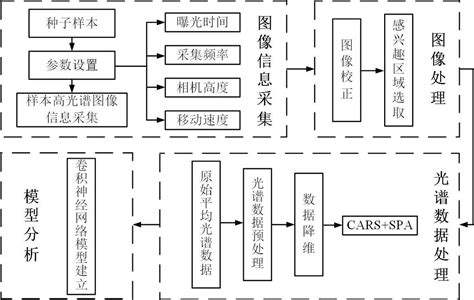 基于卷积神经网络和高光谱成像的玉米品种鉴别方法