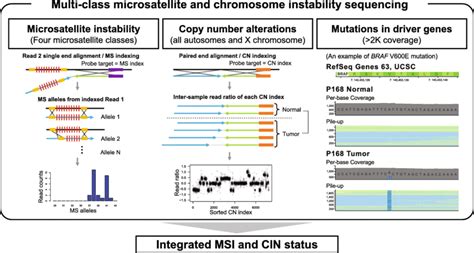 An Integrated Sequencing Based Determination Of Microsatellite And Download Scientific Diagram
