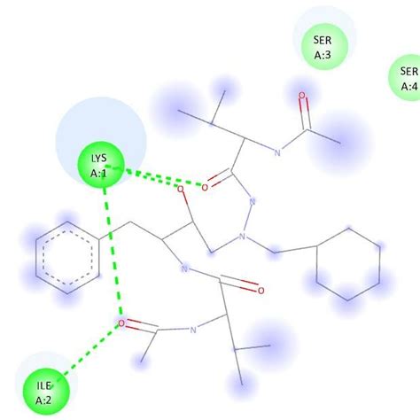 2d Interaction Between Ligand Receptor From Docking Results Van Der Download Scientific