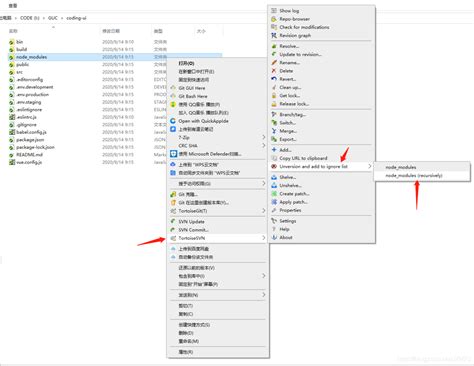 svn提交代码时忽略特定的文件 怎末使package lock json不被svn管理 每次commit时不提示 csdn博客