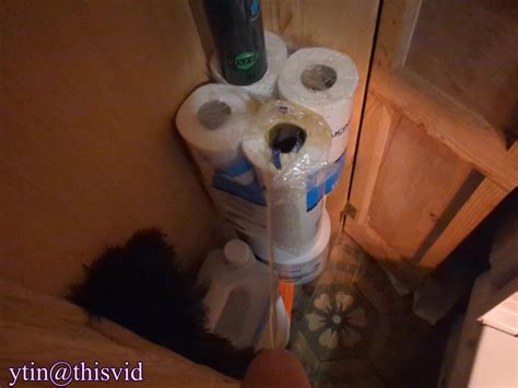 Public Restroom TP Package Piss ThisVid Com